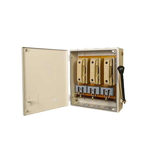 Payal Rewireable Switch Fuse Unit (Main Switch) - Payall Electrics